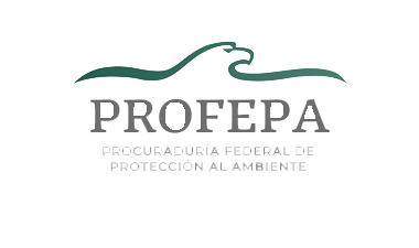 Bioturn - Consultoría Ambiental